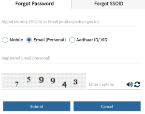 Forgot SSO ID Password Recover on SSO Portal